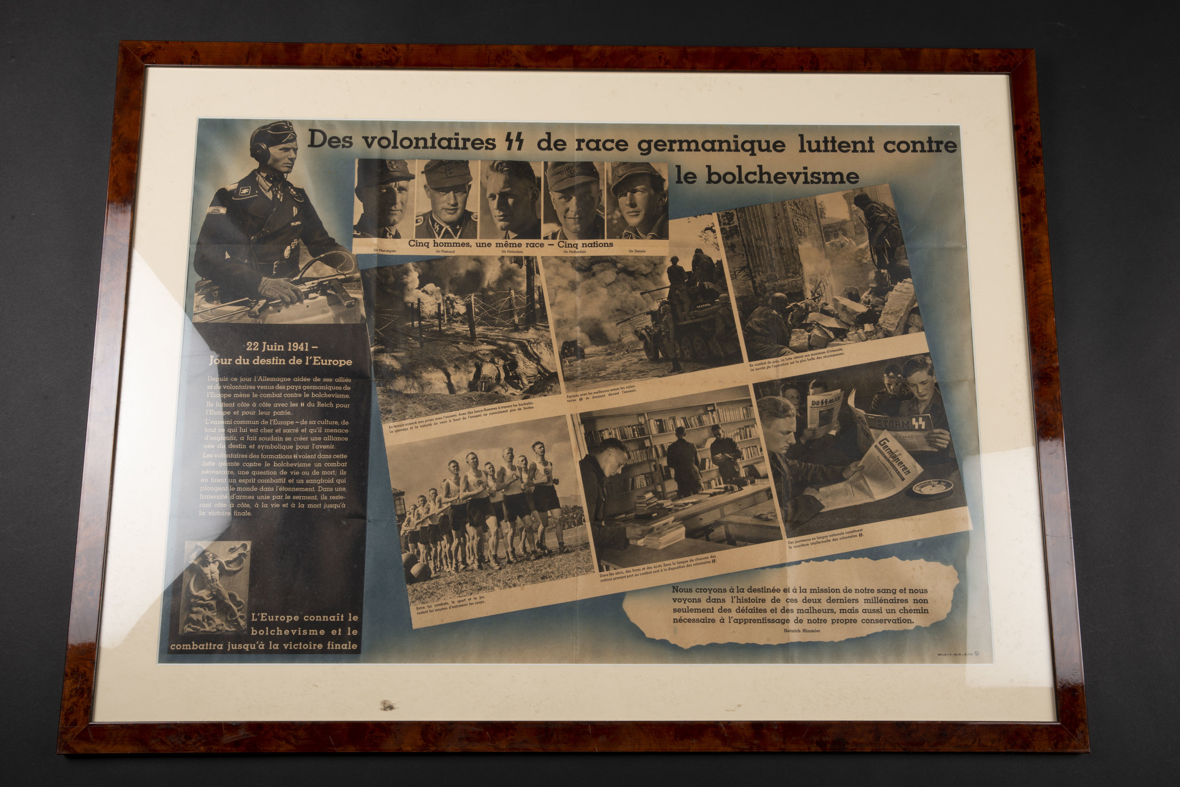 Affiche De Recrutement De La Waffen Ss Française Aiolfi G B R