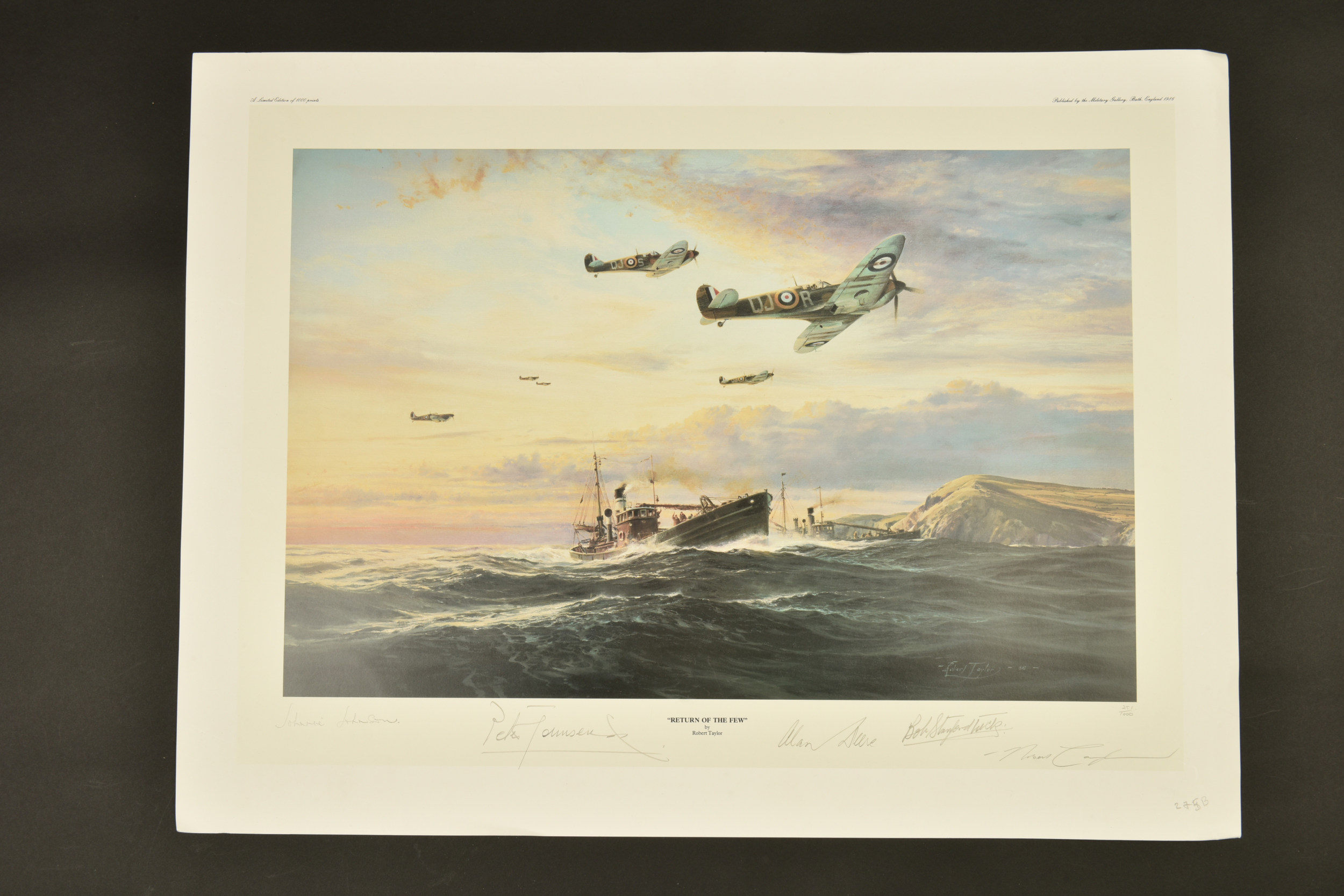 SPITFIRE | Aiolfi G.b.r.