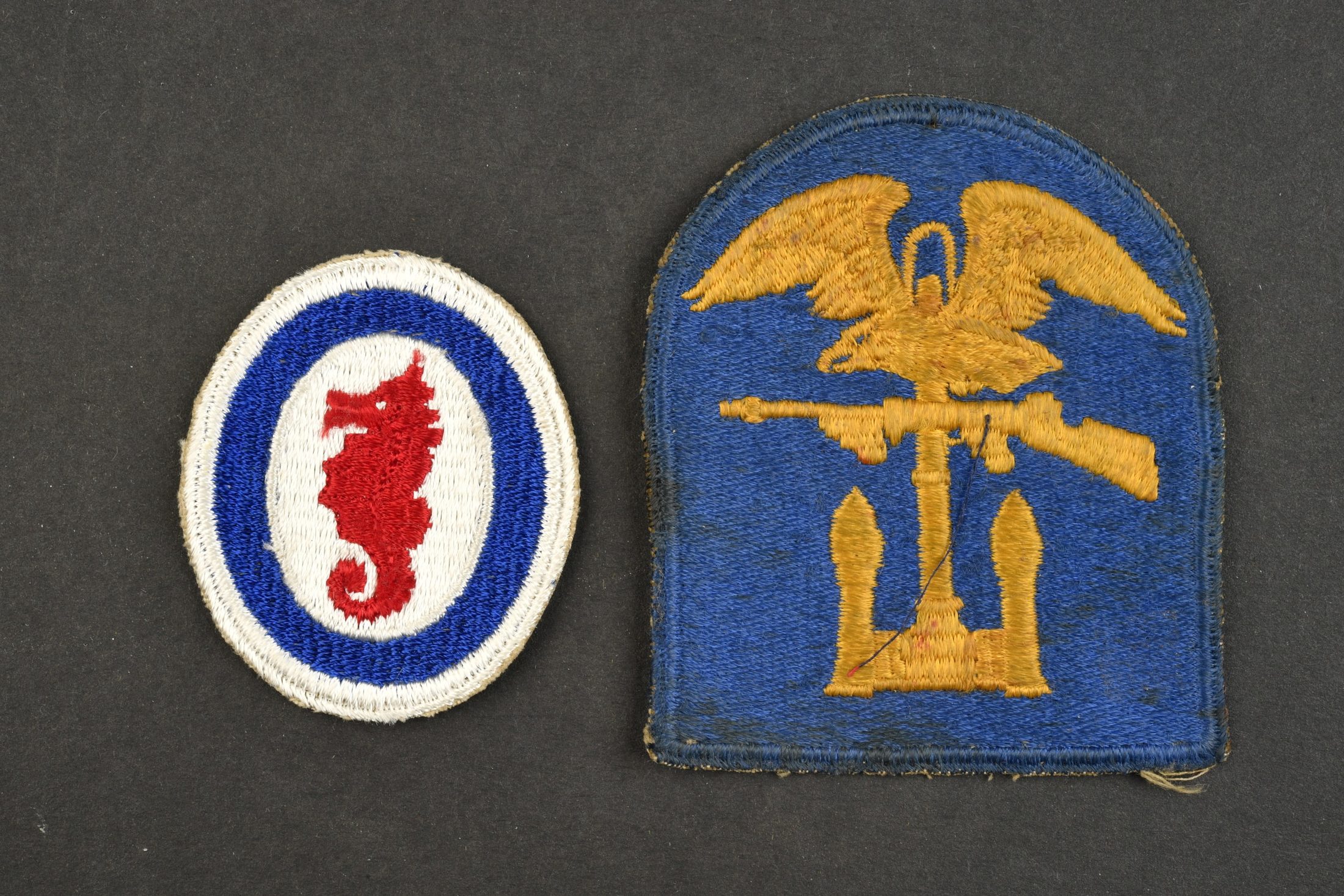 Insignes Amphibious Engineer Unit. | Aiolfi G.b.r.