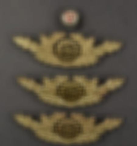 Feuilles de chêne et cocarde NSDAP. Oak leaves and NSDAP roundel ...