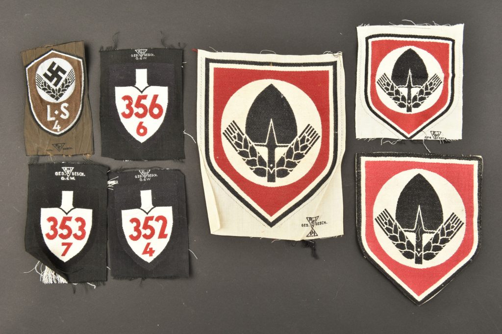 Insignes du RAD. RAD insignia. | Aiolfi G.b.r.