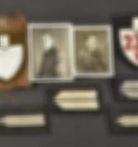 Insignes du RAD. RAD insignia. | Aiolfi G.b.r.