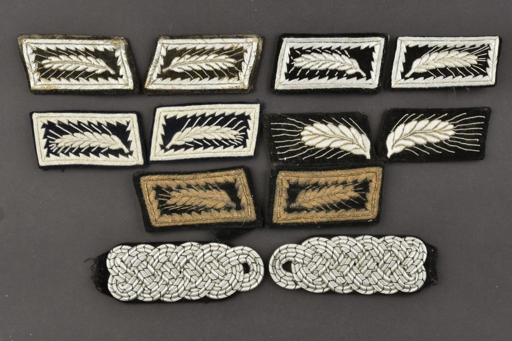 Insignes RAD. RAD insignia. | Aiolfi G.b.r.