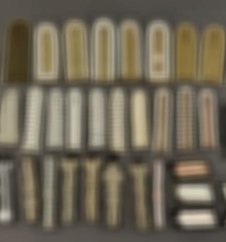 Insignes du RAD. RAD insignia. | Aiolfi G.b.r.