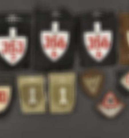 Insignes du RAD. RAD insignia. | Aiolfi G.b.r.