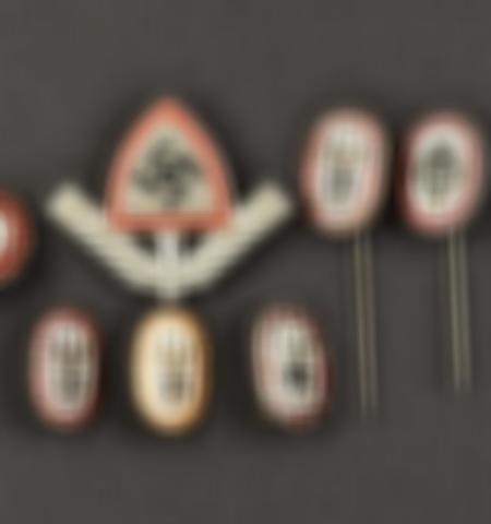 Insignes RAD. RAD insignia. | Aiolfi G.b.r.