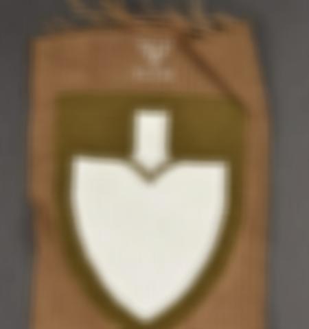 Insigne RAD. RAD insignia. | Aiolfi G.b.r.