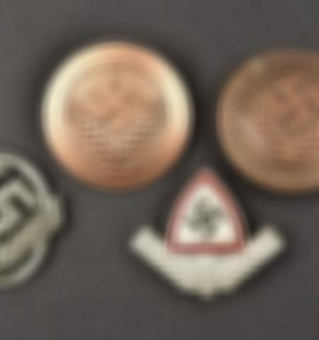 Insignes du RAD. RAD insignia. | Aiolfi G.b.r.
