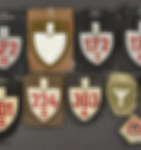 Insignes du RAD. RAD insignia. | Aiolfi G.b.r.