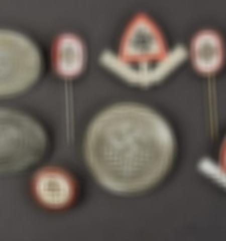 Insignes RAD. RAD insignia. | Aiolfi G.b.r.