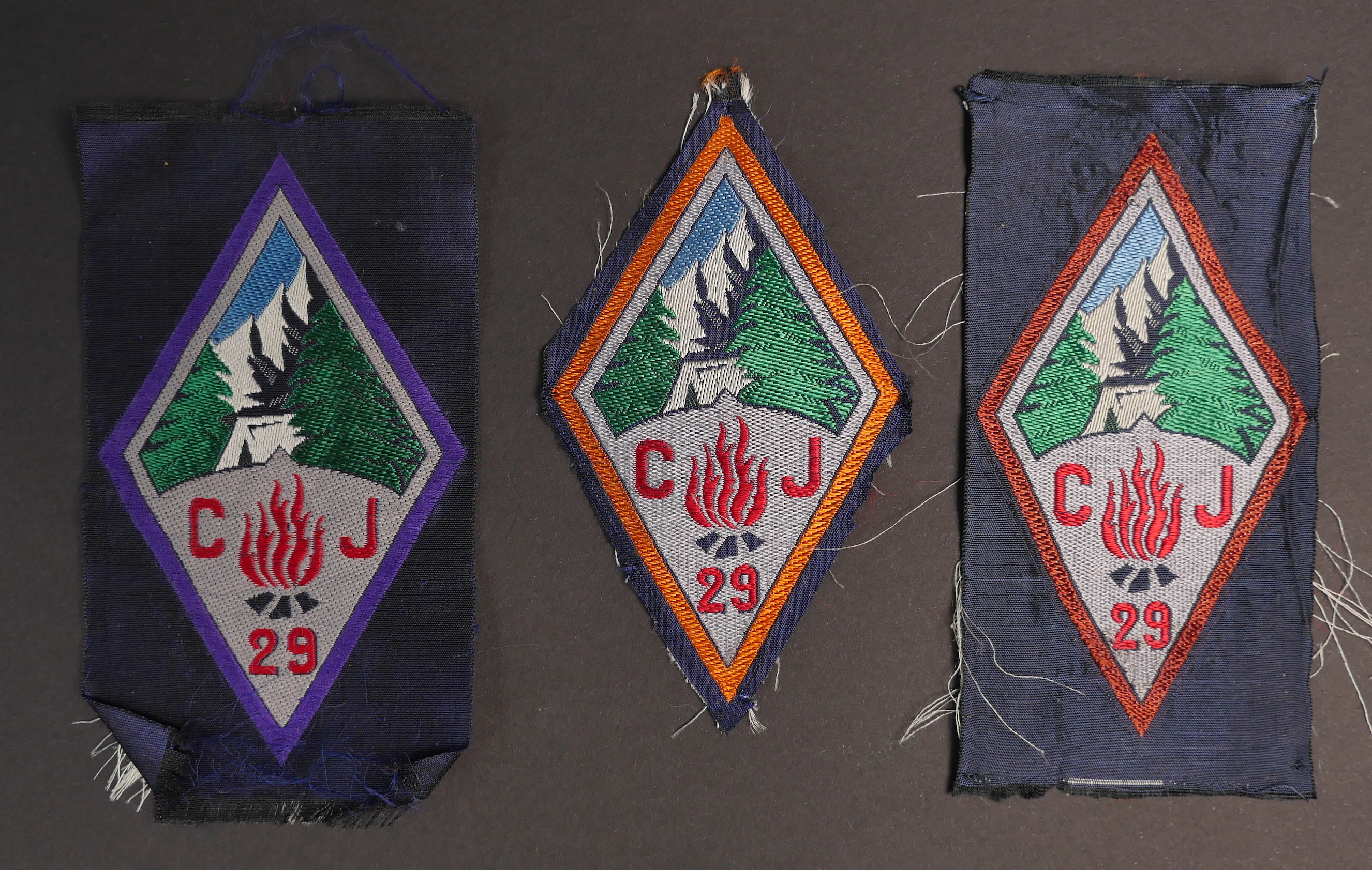 Ensemble d'insignes 29ème Groupement CJF | Aiolfi G.b.r.