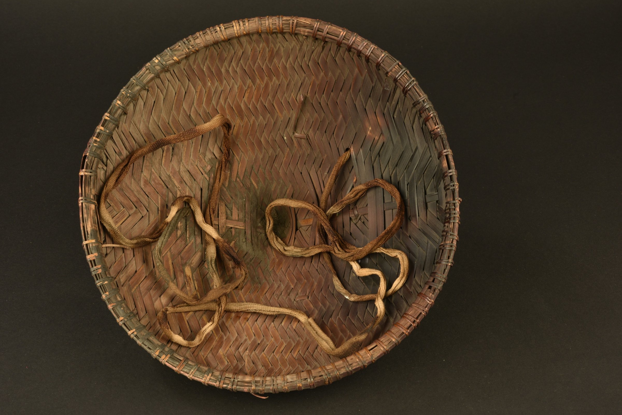 Salacco Indochinois | Aiolfi G.b.r.