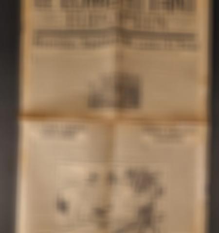 Insigne de bras LVF. LVF arm badge. | Aiolfi G.b.r.