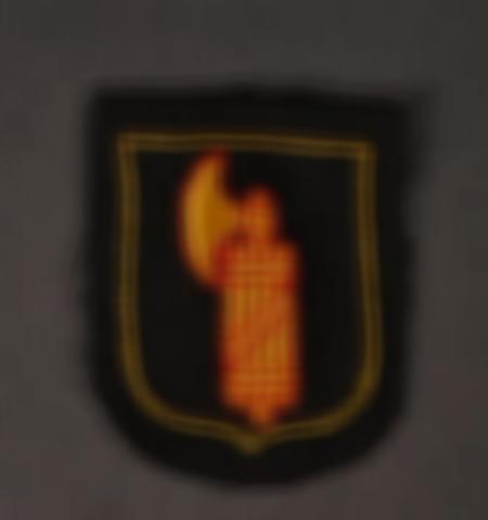 Insigne de manche SS italien.Italian SS sleeve badge. | Aiolfi G.b.r.