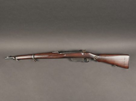 Fusil STEYR 1895 | Aiolfi G.b.r.