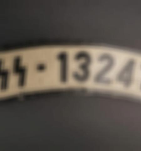 Plaque immatriculation SS. SS Licence plate. | Aiolfi G.b.r.