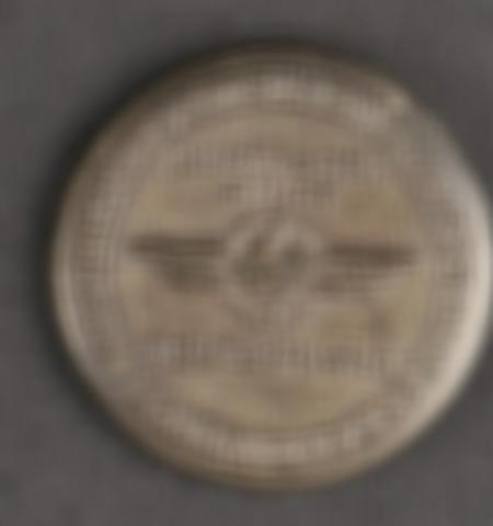 Drapeau du DLV. German DLV flag. | Aiolfi G.b.r.