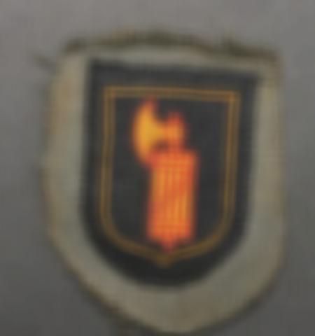 Insigne SS italien. Italian SS insignia. | Aiolfi G.b.r.