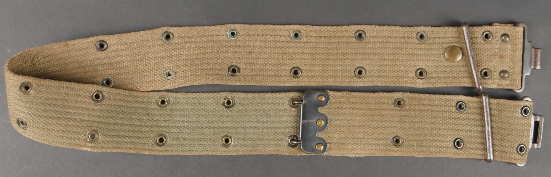 Ceinturon TAP 50. TAP 50 belt | Aiolfi G.b.r.