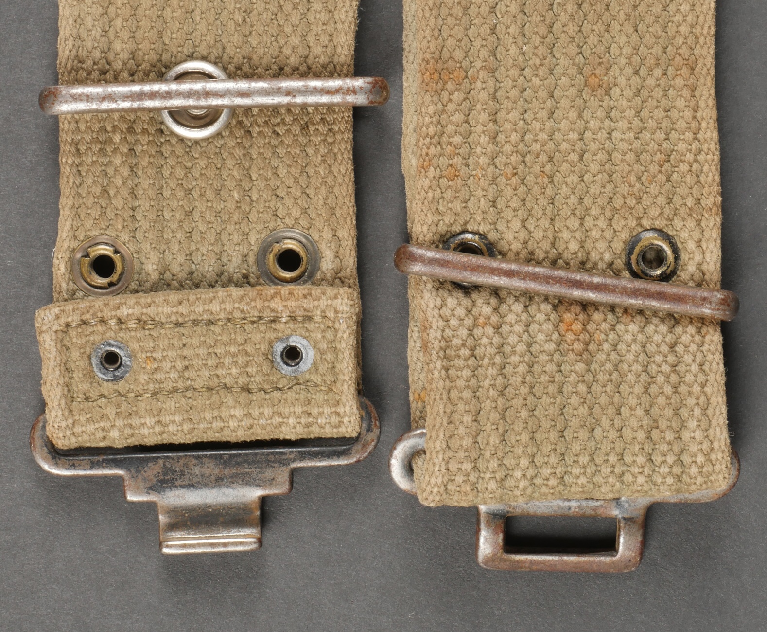 Ceinturon TAP 50. TAP 50 belt | Aiolfi G.b.r.
