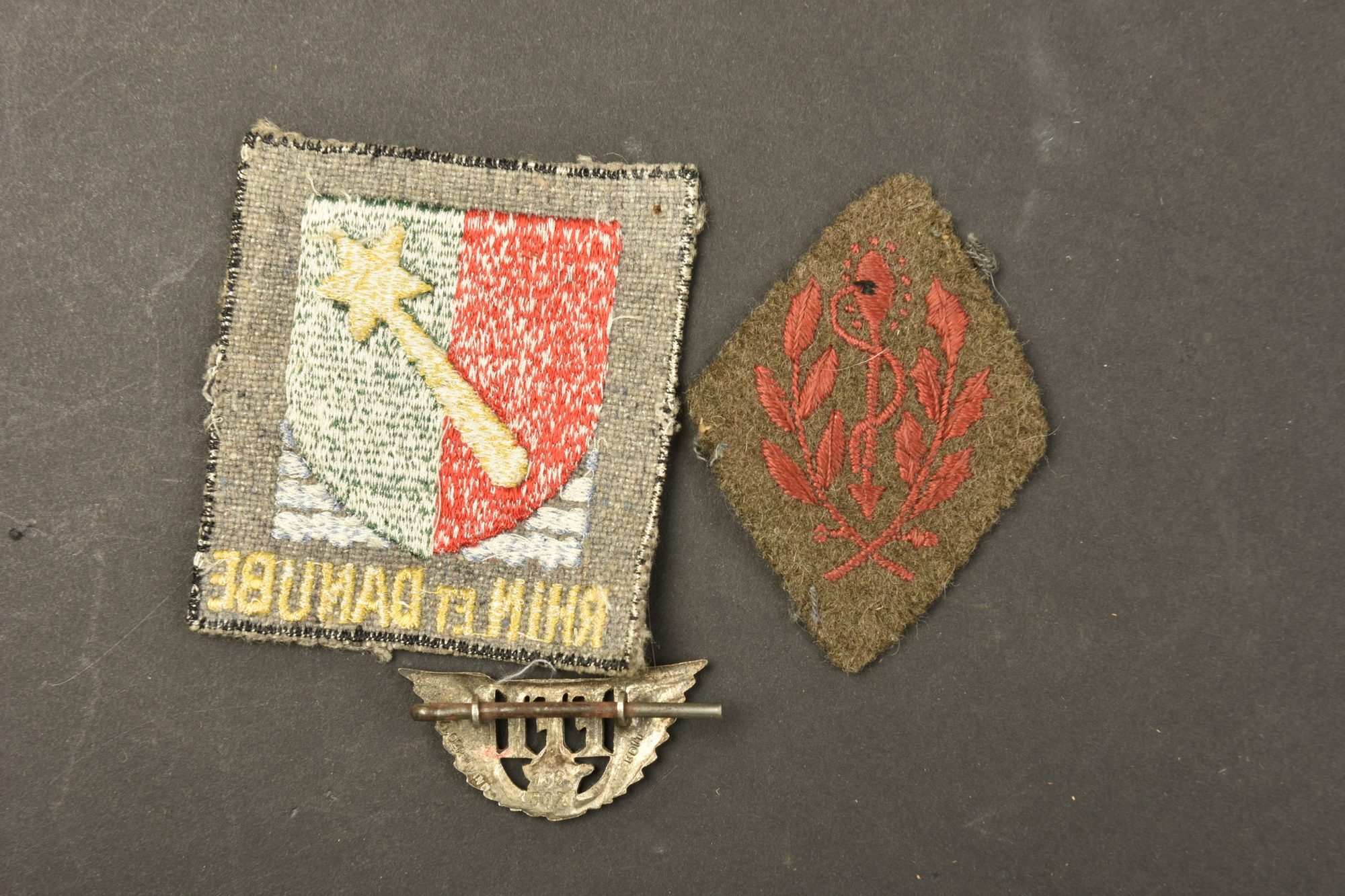 Ensemble FFI et 101ième Bataillon Médical | Aiolfi G.b.r.