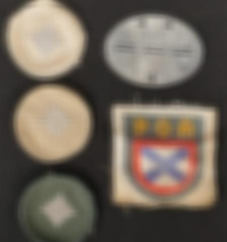 Insigne POA. POA Insignia | Aiolfi G.b.r.