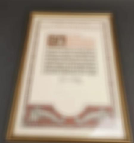 Diplome allemand. German diploma. | Aiolfi G.b.r.