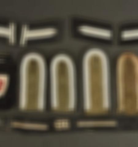 Insignes RAD. RAD Insignia | Aiolfi G.b.r.