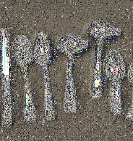 Couverts allemand. German cutlery. | Aiolfi G.b.r.
