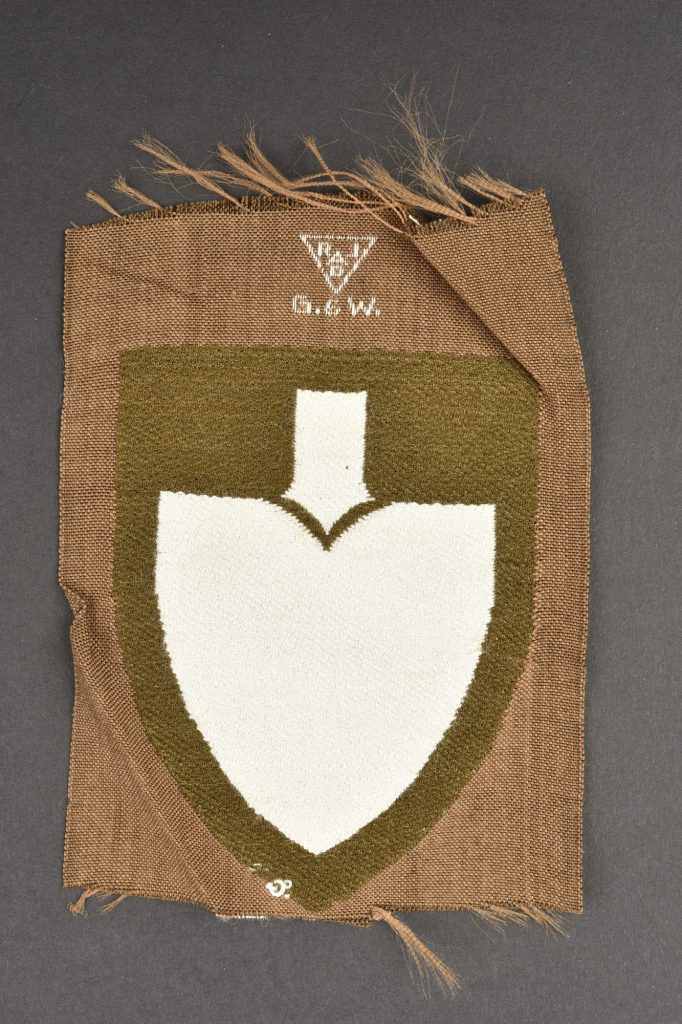 Insigne RAD. RAD insignia. | Aiolfi G.b.r.