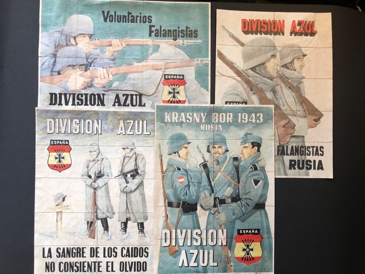 Division Azul | Aiolfi G.b.r.