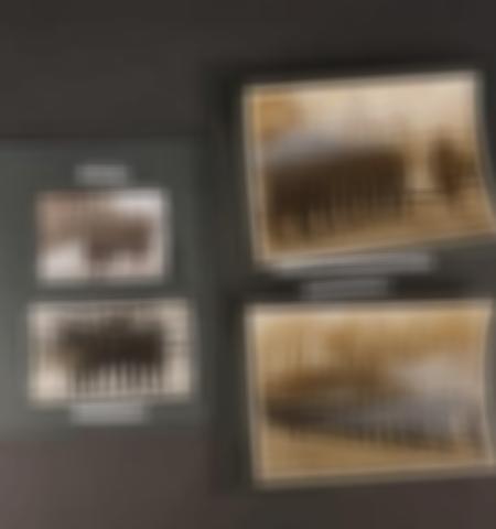 4 photos des Troupes Rexistes. 4 pictures of the Rexist troops ...
