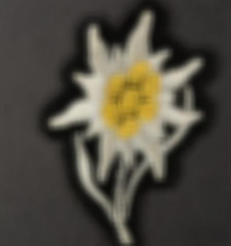 Edelweiss SS. | Aiolfi G.b.r.