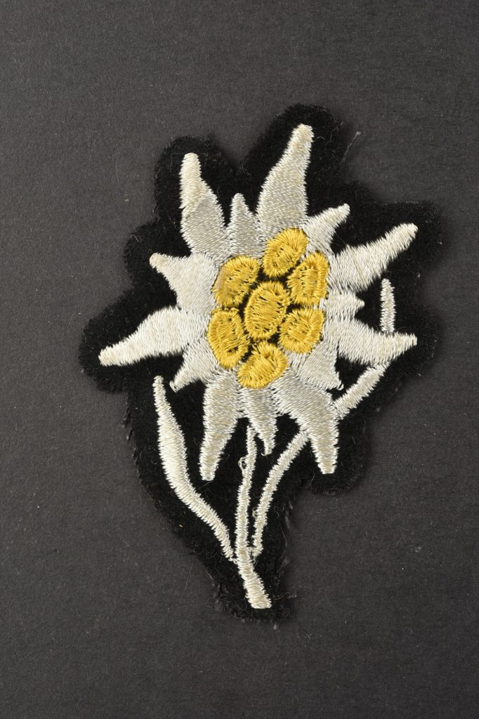 Edelweiss SS. | Aiolfi G.b.r.