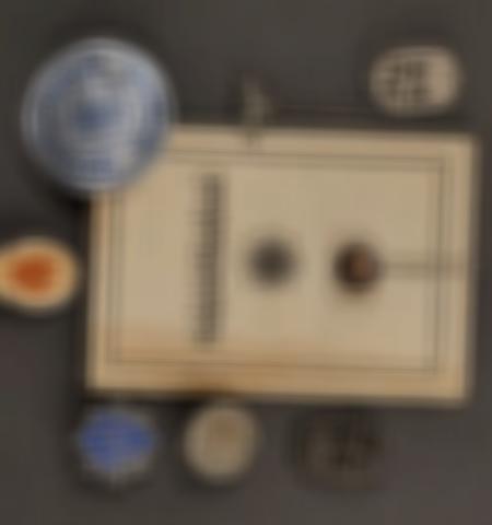 Insignes RLB. RLB Badges. | Aiolfi G.b.r.