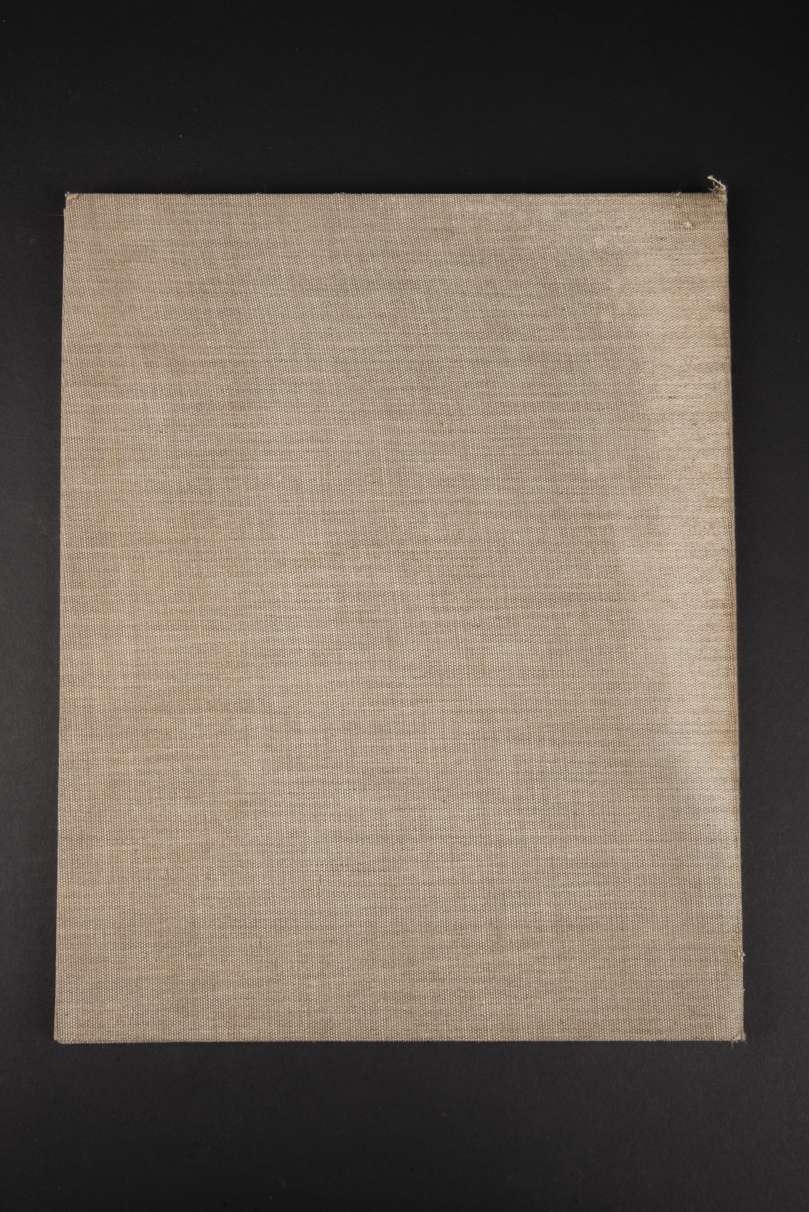 Das Programm der NSDAP | Aiolfi G.b.r.