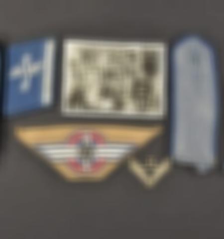 Insignes du DLV. DLV badges. | Aiolfi G.b.r.