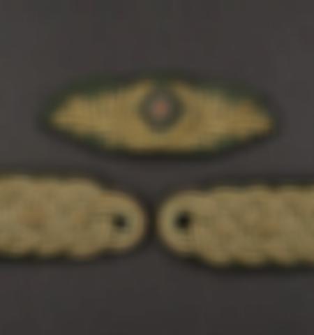 Insigne du service des forêt du Reich. Reich Forest Service badge ...