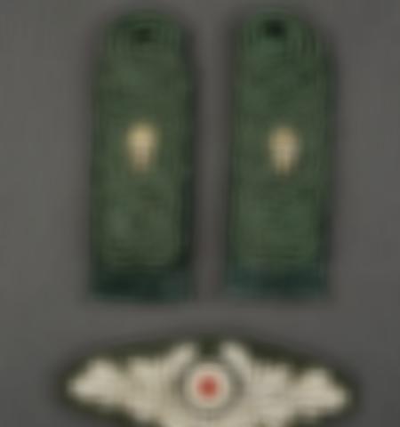 Insignes des forestiers du Reich. Reich forestry badges. | Aiolfi G.b.r.