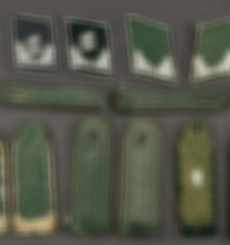 Insignes des forestiers du Reich. Reich forestry badges. | Aiolfi G.b.r.