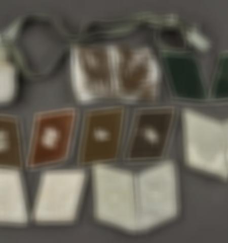 Insignes des forestiers du Reich. Reich forestry badges. | Aiolfi G.b.r.