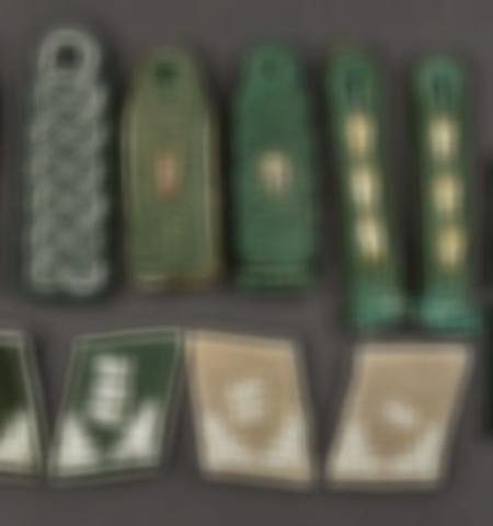 Insignes de forestiers du Reich. Reich forestry badges. | Aiolfi G.b.r.